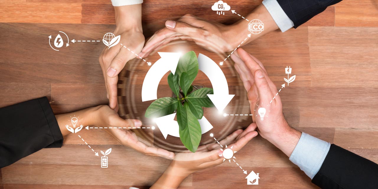 Embracing the Circular Economy in Renewable Energy: Vision for a ...